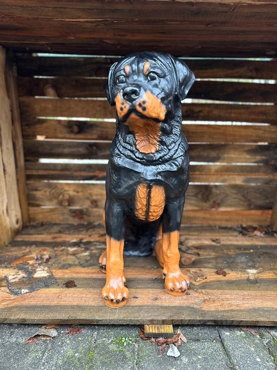 Goodyz- Huisdieren - Honden - Rottweiler - super leuk beeld - zittend - 65cm hoog... | bol