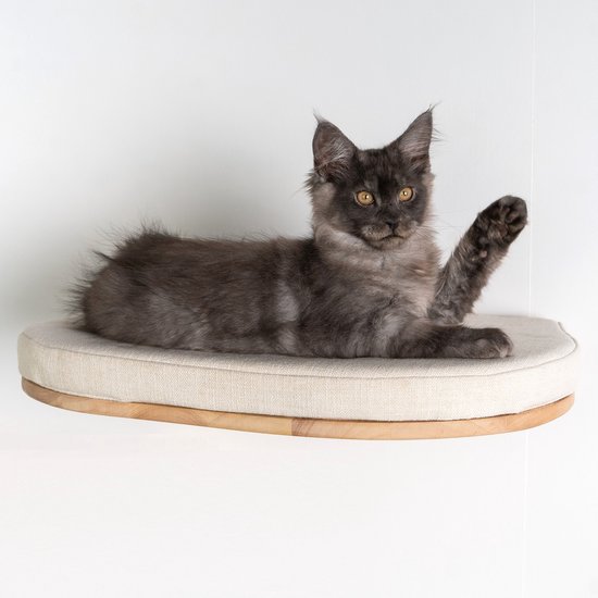 RHRQuality Wandmeubel wandmontage Klimmuur Kat 53 x 43cm Luxe kattenbed ...