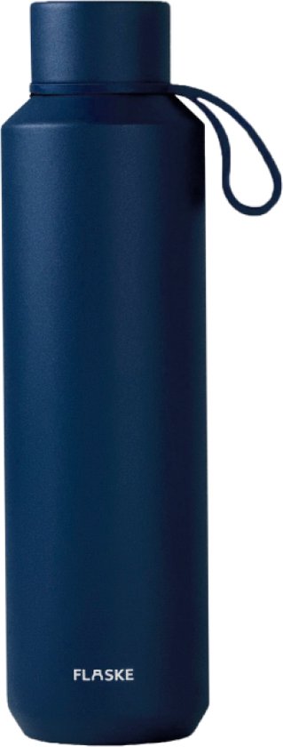 FLASKE EVO Bottle - Ocean - 600ml - RVS Drinkfles van 600ML - Geschikt ...