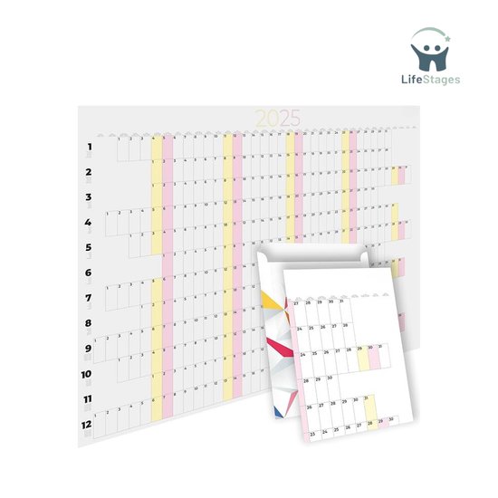 LifeStages - Jaarkalender 2025 - Jaarplanner voor 2025 - Grote Poster ...