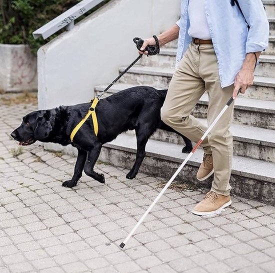 Medj - Wandelstok voor Blinden - blindenstok-blindengeleidestok-... | bol