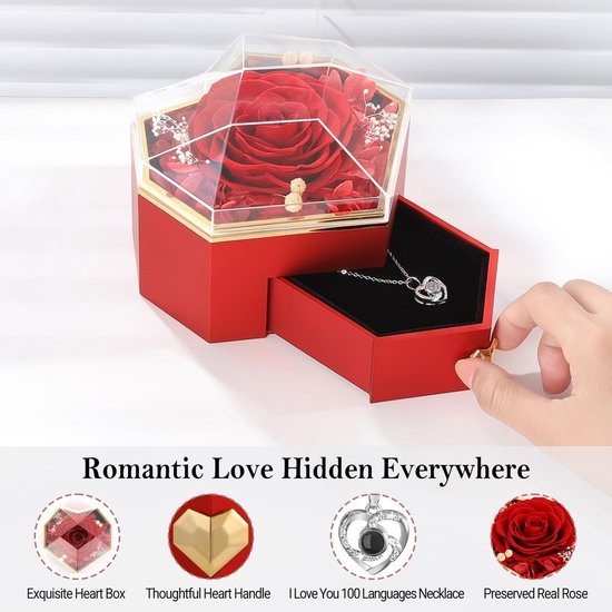 Sander Shop Geconserveerde echte roos met hartketting, Eternal Flowers ...