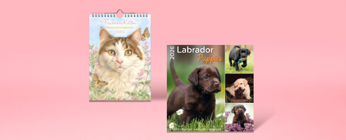 DE DRUIVELAAR Kalender kopen? Kijk snel! | bol