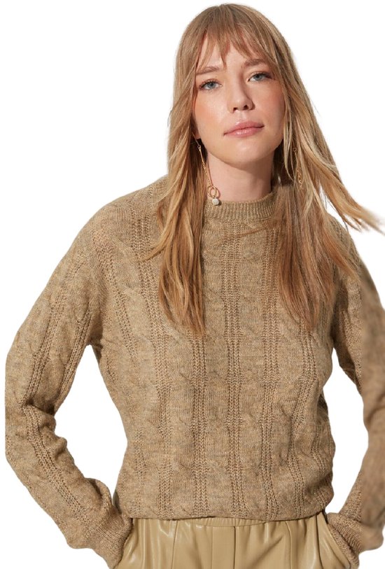 Trendyol Paarse Wollen Gebreide Trui Met Gebreide Details Twoaw23Kz01027 | bol