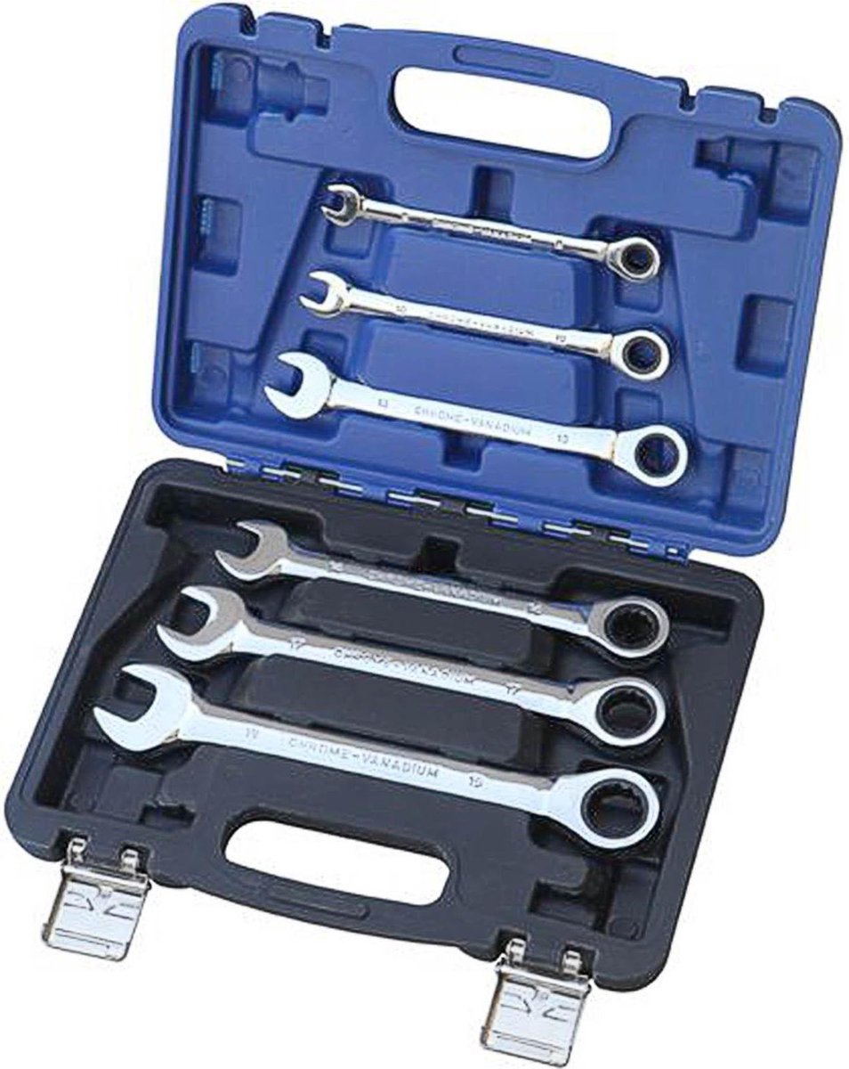 Hanse Werkzeuge 6 Delige Ring-/Ratel, Steeksleutelset - maat 8-19 | bol.com