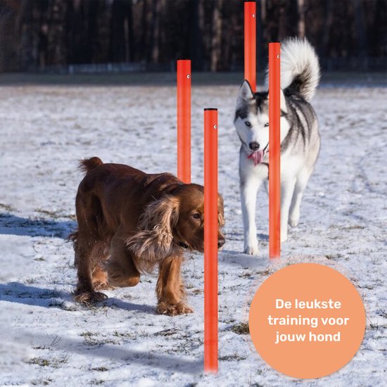 Agility Voor De Hond - 16 delig - Agility set - Hondentunnel - Horde ...