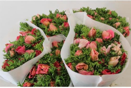 DutchFlowers - Boeket - 50x Anemoon mistral plus shocking pink 40cm | bol