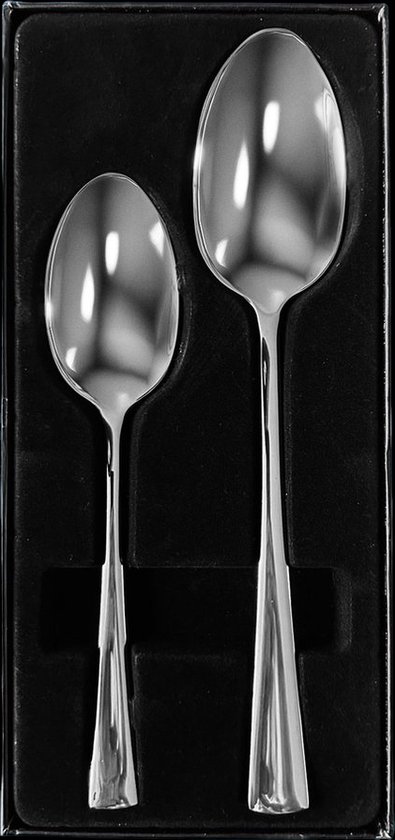 Opscheplepels, set van 2 stuks | bol