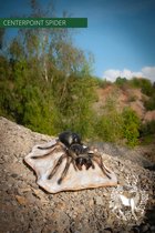 Serving Tool Wikkel Gereedschap Cartel/Avalon 3 Gaats | bol