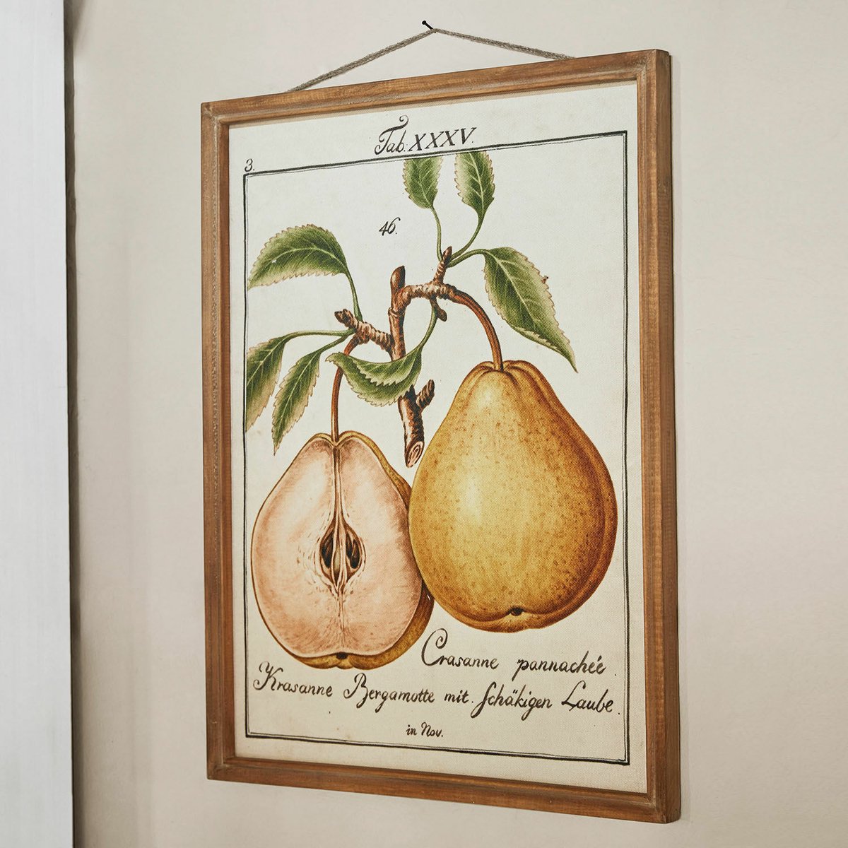 LOBERON Decoboard Tupisa bont | bol