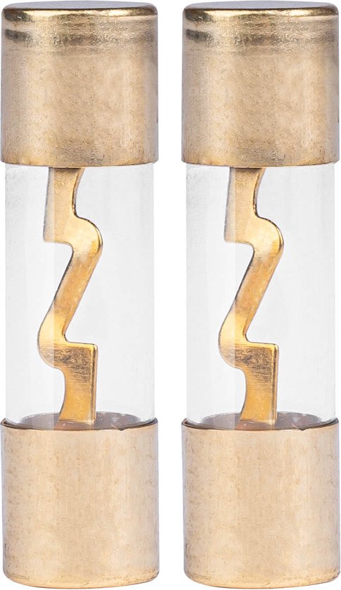 AMiO AGU Auto Glaszekering 80A Glass Fuse Zekering (set 2 stuks) | bol