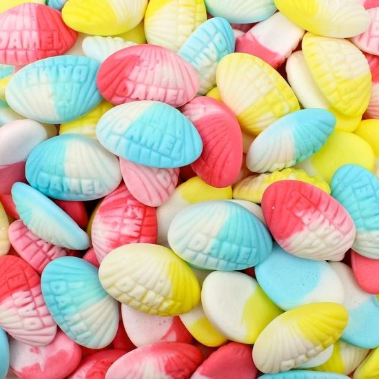 Damel Schelpen - 1 Kilo | bol