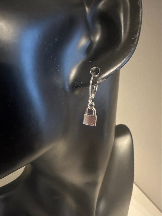 Zilverkeurige oorringetjes met slotje | bol