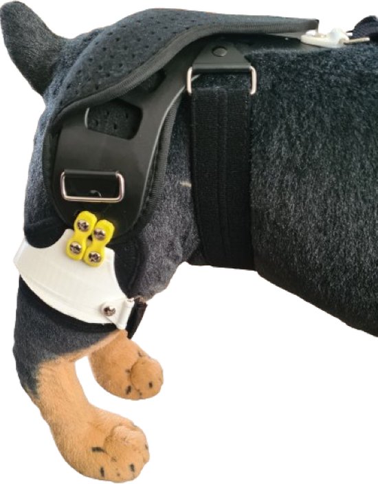 Hondenbrace, hond brace, dog brace, honden heup brace, honden halsband ...