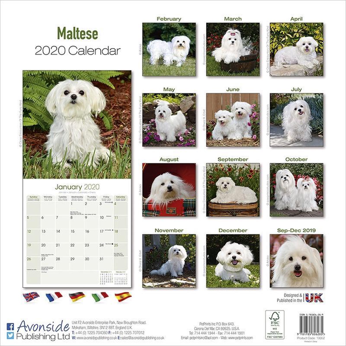 Maltese Calendar 2020 | bol.com