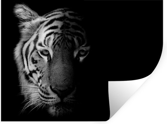 Muurstickers - Sticker Folie - Tijger - Dieren - Wild - Zwart - Wit - 80x60 cm -... | bol