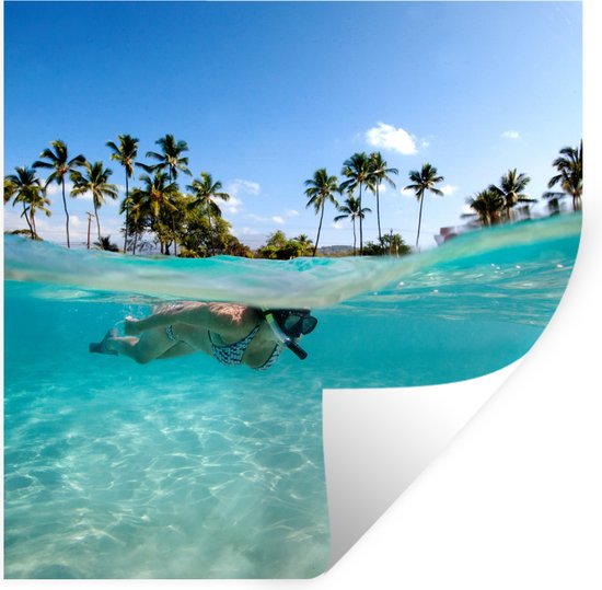 Muurstickers - Sticker Folie - Zee - Snorkel - Hawaii - 30x30 cm ...