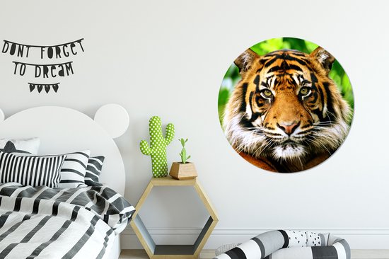 WallCircle - Muurstickers - Behangcirkel - Tijger - Kop - Bos - 100x100 cm -... | bol