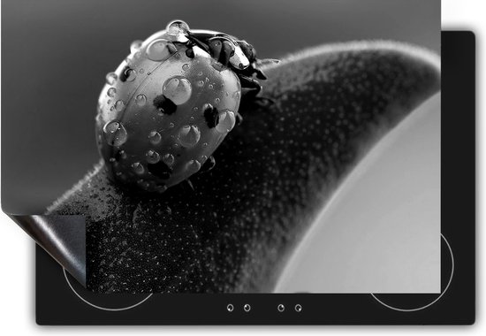 Chefcare Inductie Beschermer Lieveheersbeestje op een Blad met Waterdruppels - Zwart... | bol