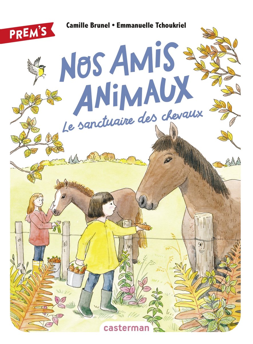 Nos amis animaux 3 - Nos amis animaux (Tome 3) - Le sanctuaire des ...