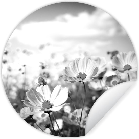WallCircle - Muurstickers - Behangcirkel - Bloemen - Wei - Paars - Gras - Wit - Wolken... | bol