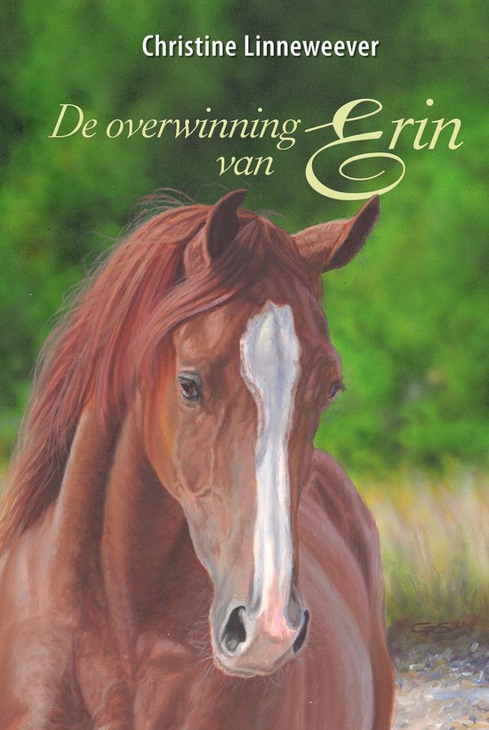 Gouden paarden - De overwinning van Erin (ebook), Christine Linneweever ...
