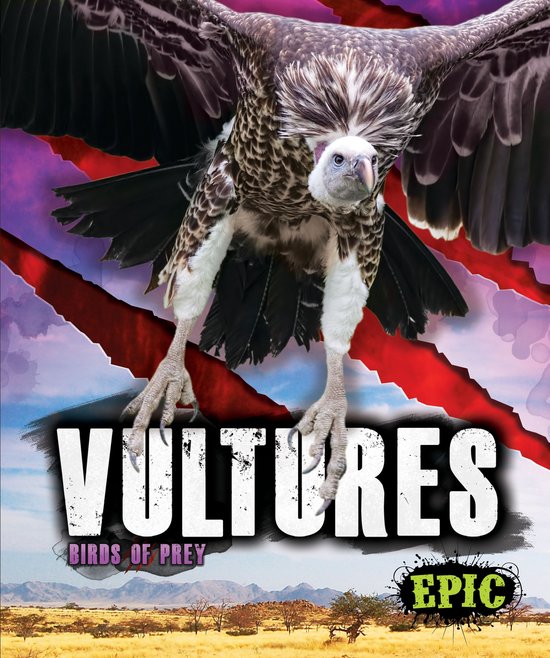 Birds of Prey - Vultures (ebook), Nathan Sommer | 9781681036298 ...