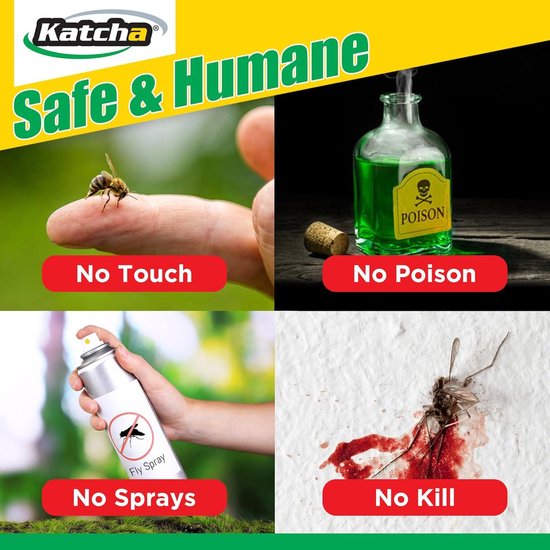 Spinnenvanger - Insecten vangen met behulp van html en muizen ...