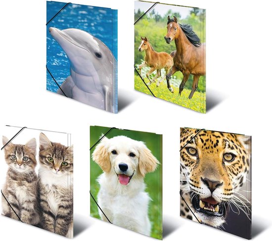 Verzamelmappen A3 dierenassortiment 10 stuks hoekspanner mappen voor ...