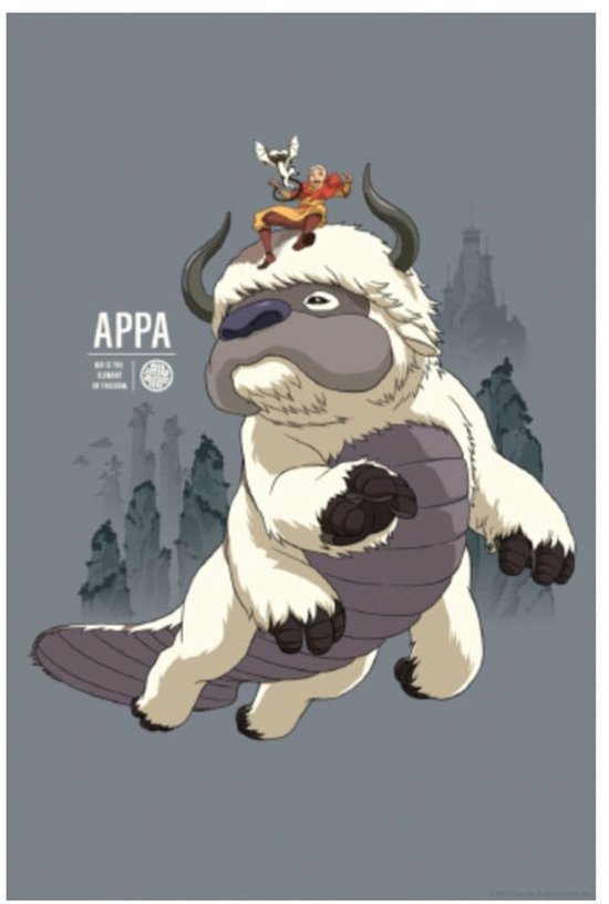 FaNaTtik Avatar The Last Airbender Art Print Appa & Aang Limited Edition 42 x 30 cm... | bol