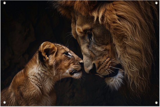 Leeuw posters - Dieren poster - Tuinposters Welp leeuw - Posters buiten ...