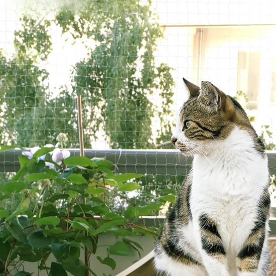 Kattennet balkon - Kattenbeschermingsnet - Balkon Net - Balkonnet ...