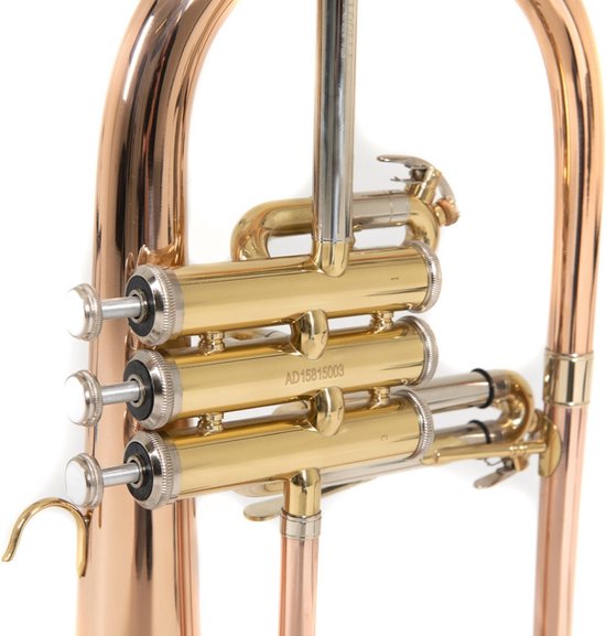 Bach Bugel FH501 | bol