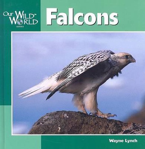 Falcons, Wayne Lynch | 9781559719117 | Boeken | bol.com