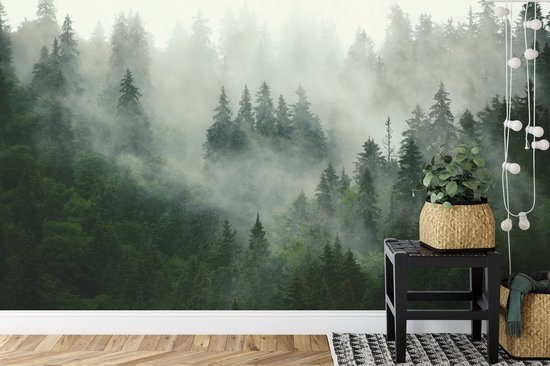 Fotobehang Bos In Mist | bol