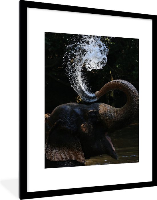 Fotolijst incl. Poster - Olifant - Water - Slurf - Dieren - Natuur ...