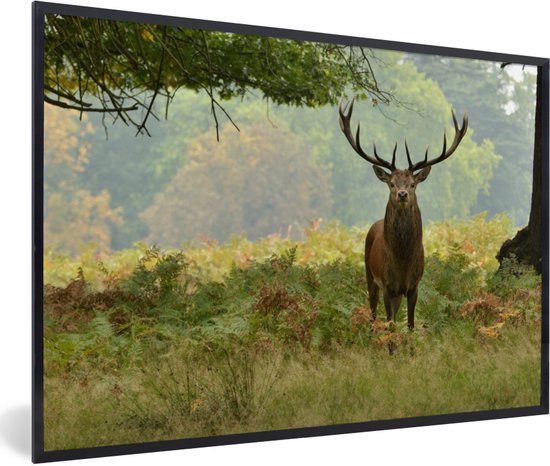Fotolijst incl. Poster - Edelhert - Natuur - Groen - 30x20 cm ...
