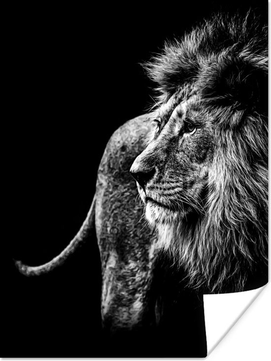 Poster Dieren - Wild - Leeuw - Zwart - Wit - 30x40 cm | bol