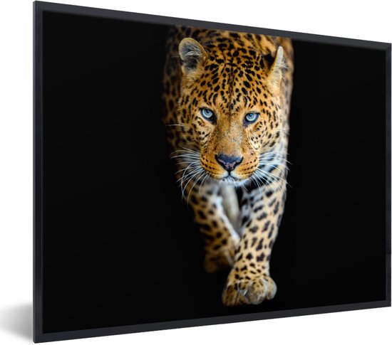 Fotolijst incl. Poster - Luipaard - Dieren - Portret - Wilde dieren ...