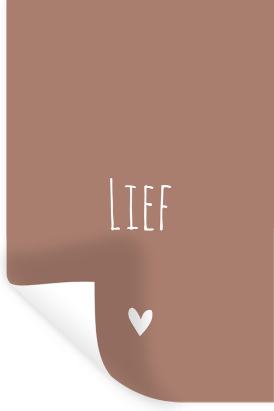 Muurstickers - Sticker Folie - Spreuken - Quotes - Lief - 40x60 cm ...