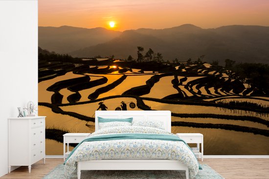 Behang - Fotobehang beeld van een rijstveld bij zonsondergang - Breedte ...