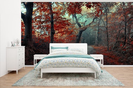 Behang - Fotobehang Bospad - Bomen - Pad door Bos - Herfst - Breedte ...