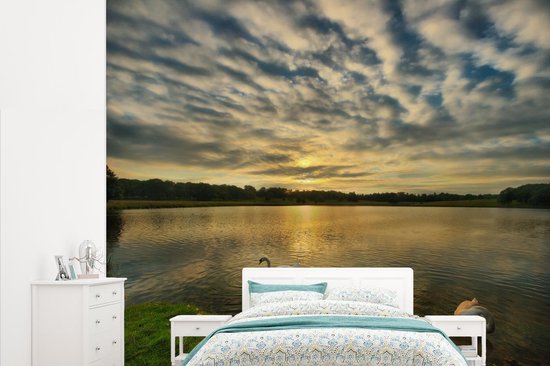 Behang - Fotobehang Zwanen - Wolken - Zonsondergang - Breedte 315 cm x ...