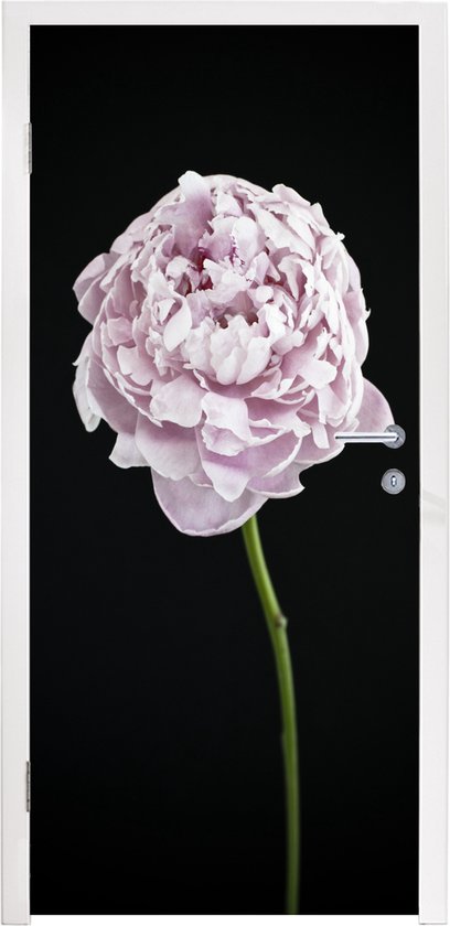 Witte pioenroos Aluminium | bol.com