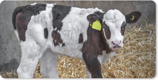 Bureaumat - Koe - Stro - Kalf - Dieren - 80x40 - Muismat | bol.com