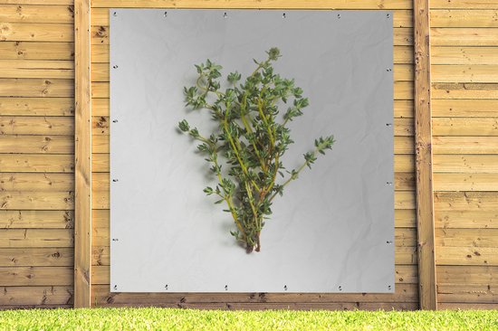 Tuin poster Bosje van verse tijm kruiden op een witte achtergrond ...