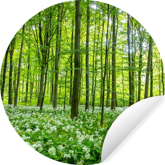 WallCircle - Muurstickers - Behangcirkel - Bos - Bomen - Groen - 50x50 cm - Muurcirkel... | bol.com
