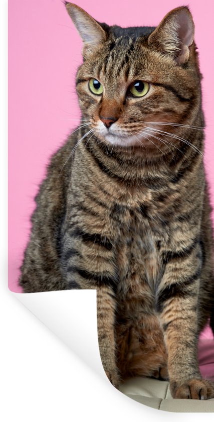 Muurstickers - Sticker Folie - Kat - Roze - Poef - Meisjes - Kinderen ...