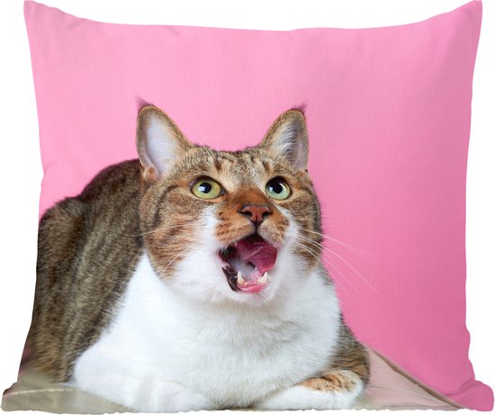 Sierkussen - Kat Poef - Bruin - 60 Cm X 60 Cm | bol.com