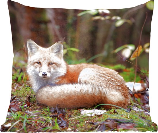 Vos - Bos - Dier | bol.com